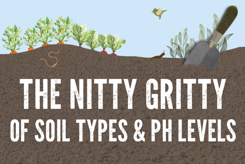 The Nitty Gritty of Soil Types and pH Levels – Nutley's Kitchen Gardens