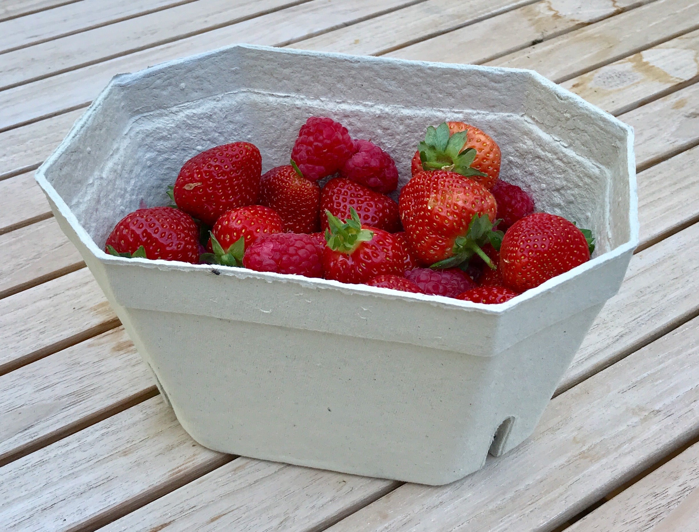 Fruit Punnets – Nutley's Kitchen Gardens