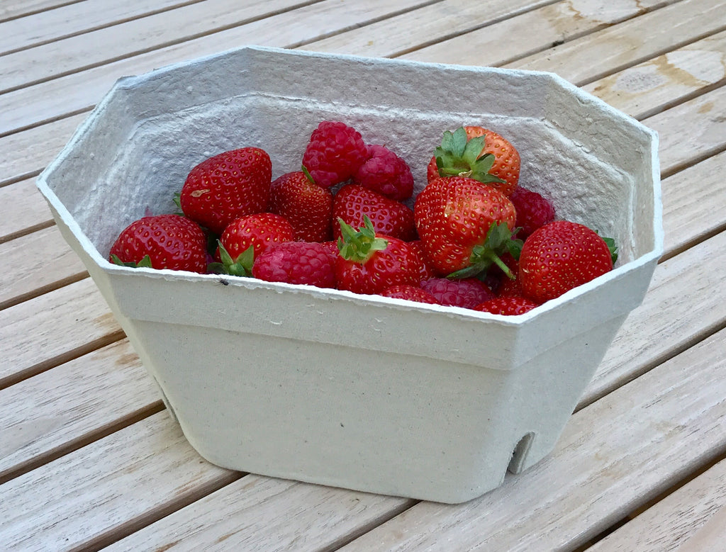 Fruit Punnets – Nutley's Kitchen Gardens