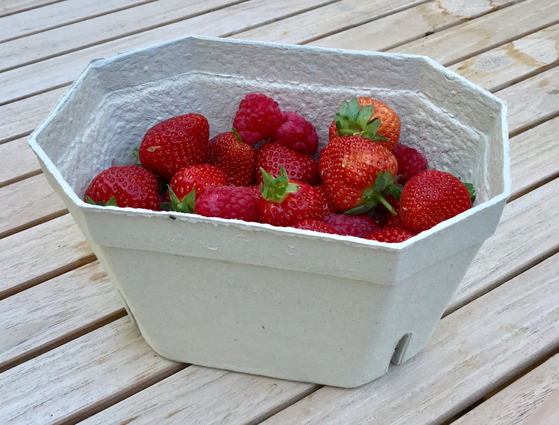Fruit Punnets – Nutley's Kitchen Gardens