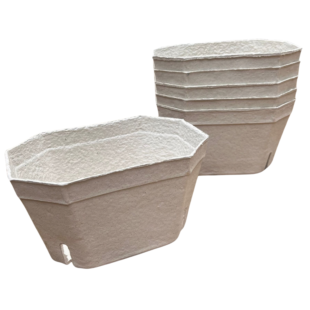 Nutley's 1000g Biodegradable Fruit Punnets - Large Capacity – Nutley's ...